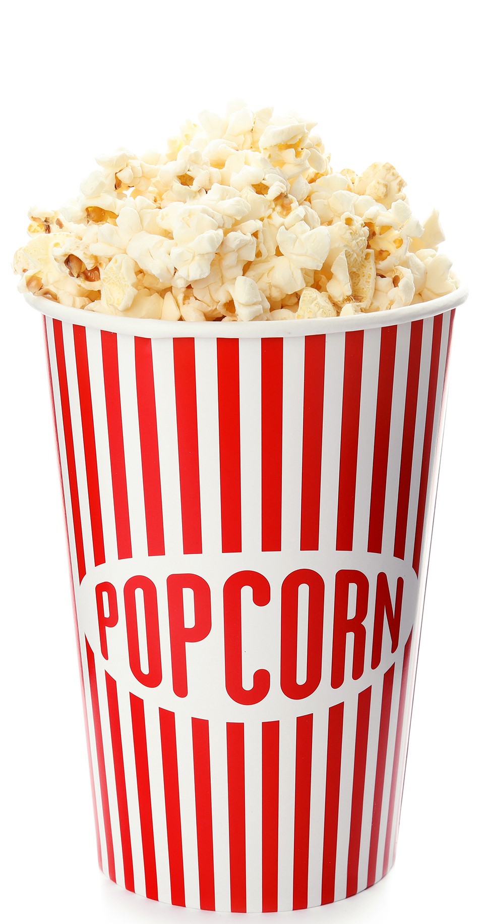 Baby Bear (Small) Bucket of Popcorn – The Bear Den